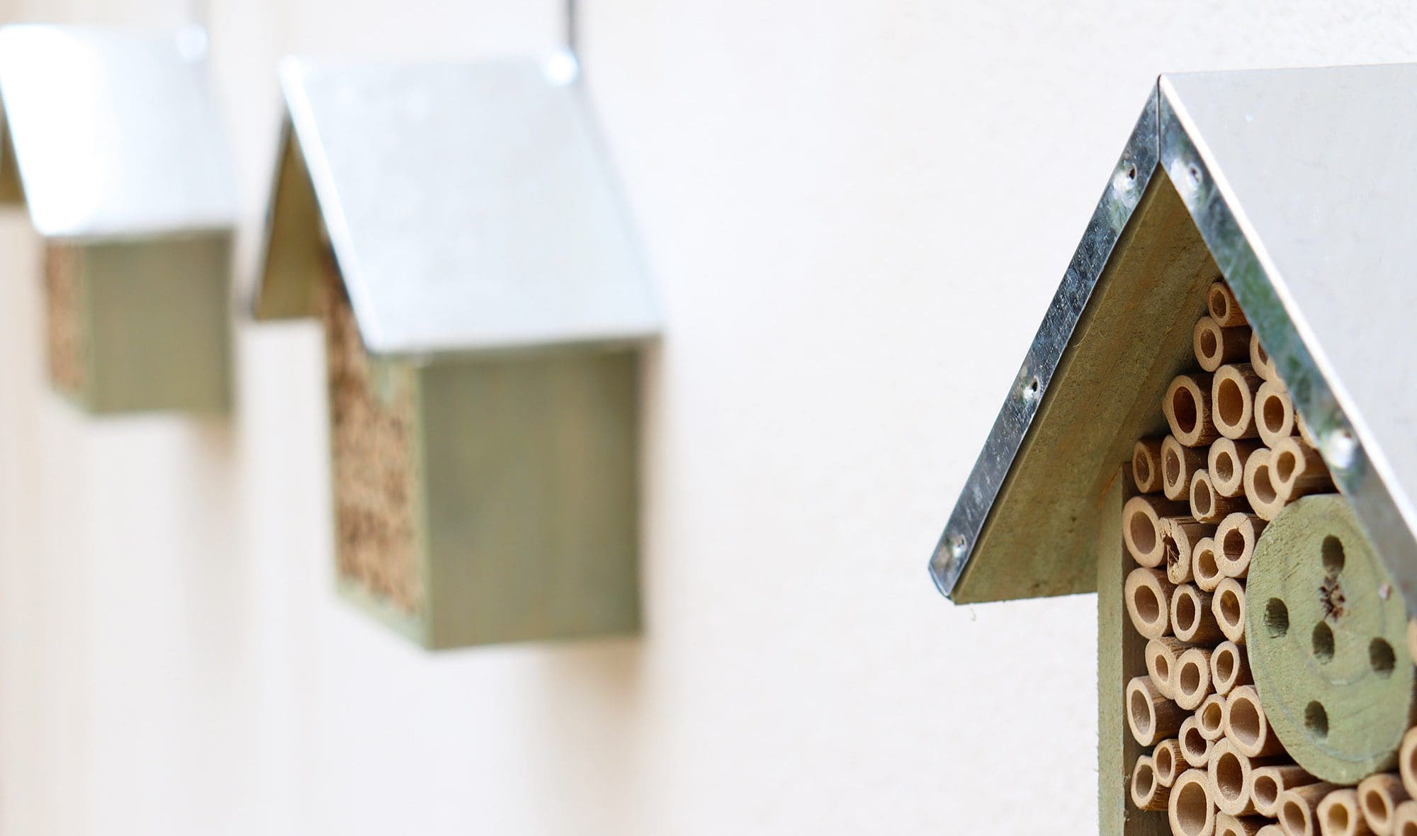 Creating a Buzz at Regent's Wharf with Bee Hotels! | News